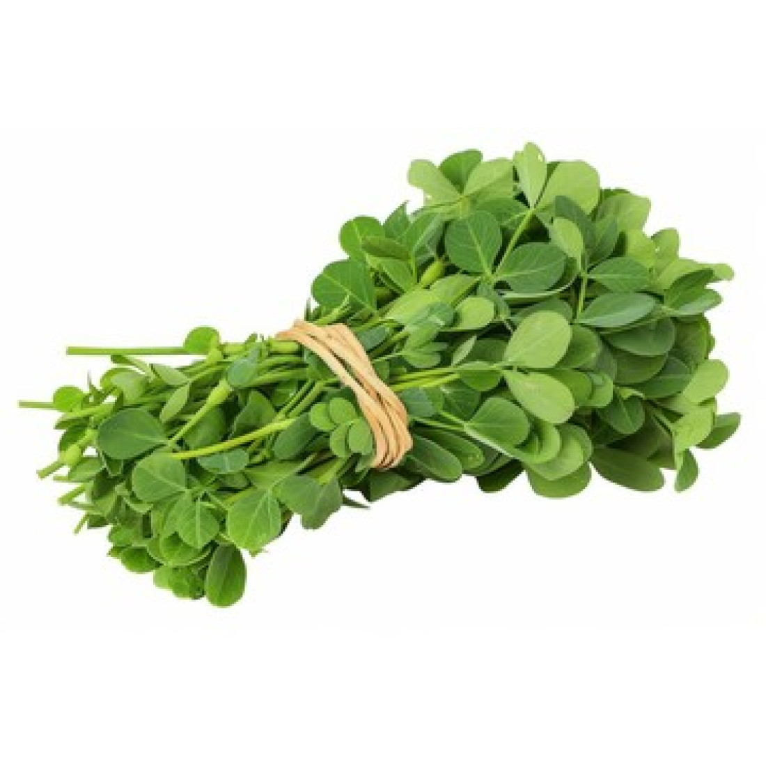 Methi/ Menthya Soppu/ Fenugreek Leaves