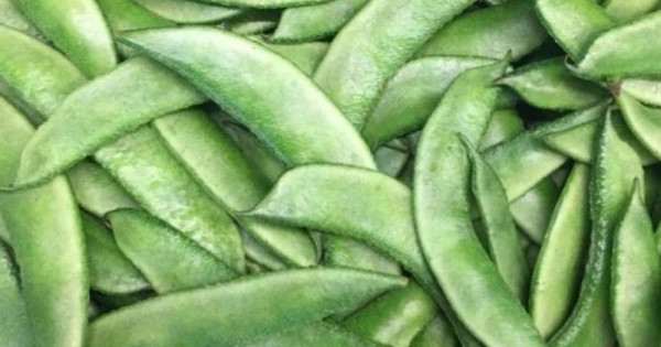 Broad Beans/ Seam Phalli